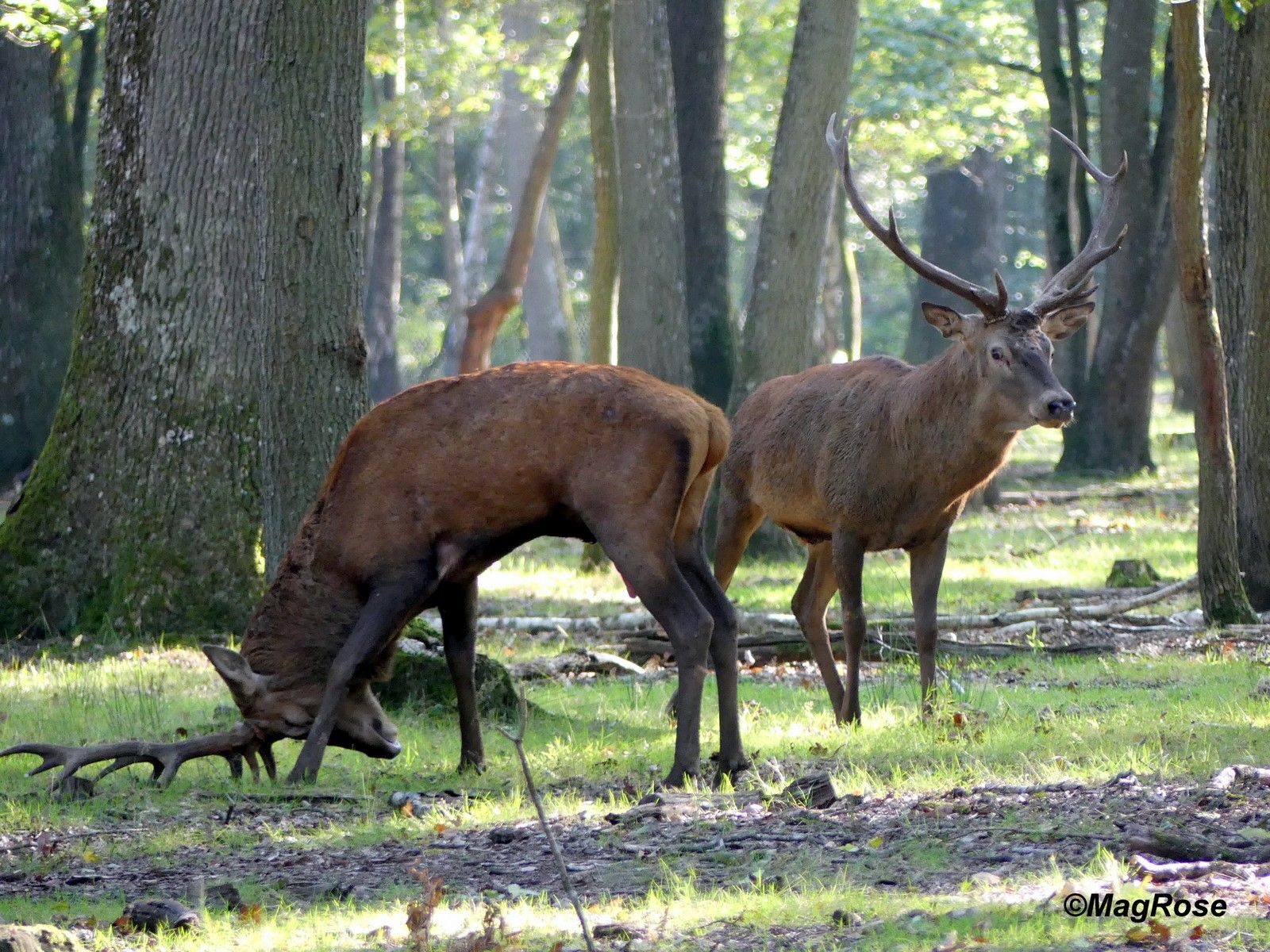 Parc Naturel Régional (PNR)
