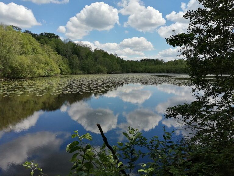 Parc Naturel Régional (PNR)